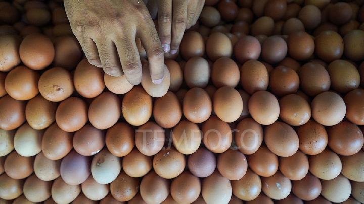 Harga Telur Ayam Lewati Harga Acuan di Jakarta | tempo.co