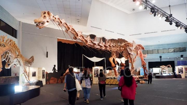 Sensasi Melihat Fosil Dinosaurus Asli di Science Centre Singapura ...