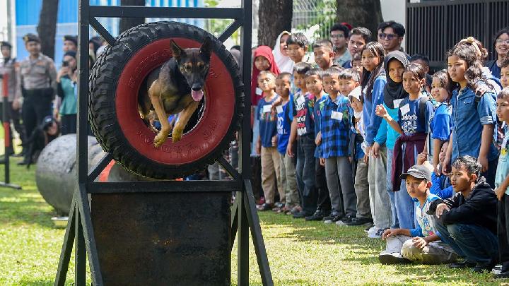 Komunitas Jendela Jakarta Kunjungi Markas Polisi Satwa | tempo.co