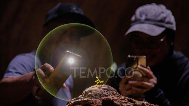 Wisata Alam Gua Mabala di Sabu Raijua, Nusa Tenggara Timur | tempo.co