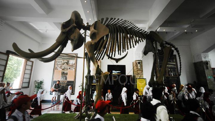 Memasuki Masa Liburan, Museum Geologi Dipadati Pengunjung | tempo.co