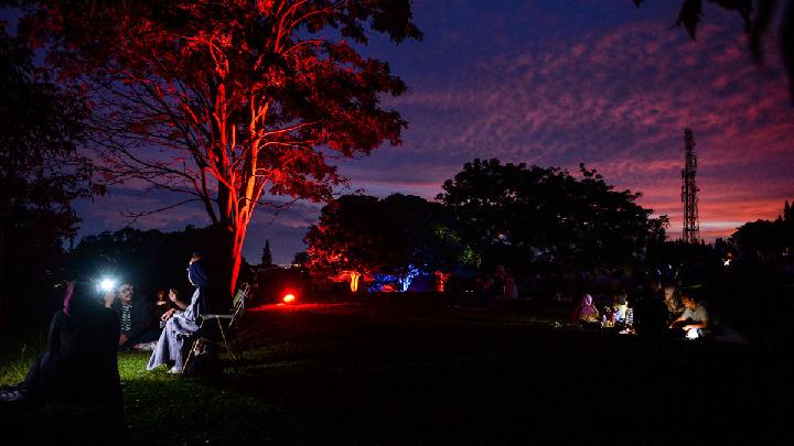 Menikmati Pertunjukan Video Mapping Pohon Mendongeng di Bandung | tempo.co