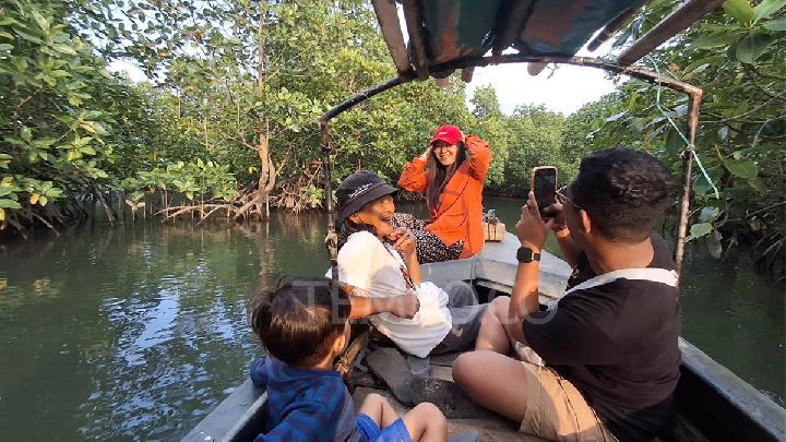 Menepi dari Kebisingan Kota di Hutan Mangrove Piayu Batam | tempo.co
