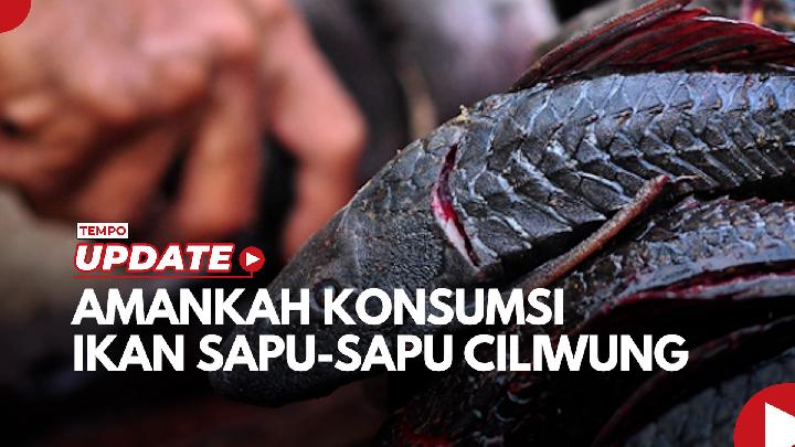 Amankah Konsumsi Ikan Sapu-sapu Ciliwung | tempo.co