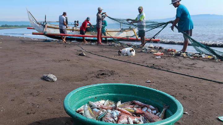 Amankan Stok Ramadan, KKP Kejar Target 3,57 Juta Ton Ikan | tempo.co
