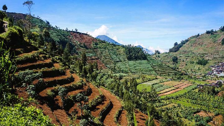 Dieng Terancam Longsor Akibat Alih Fungsi Lahan | tempo.co