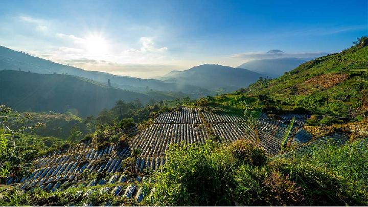 Dieng Terancam Longsor Akibat Alih Fungsi Lahan | tempo.co