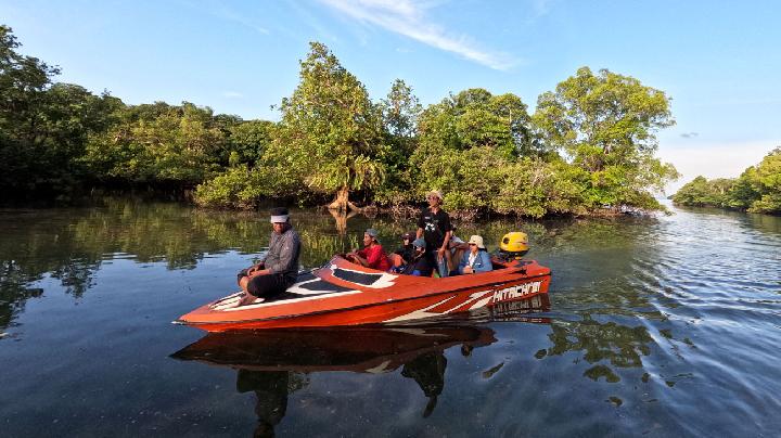 Melihat Terumbu Karang dan Hutan Mangrove Berau | tempo.co