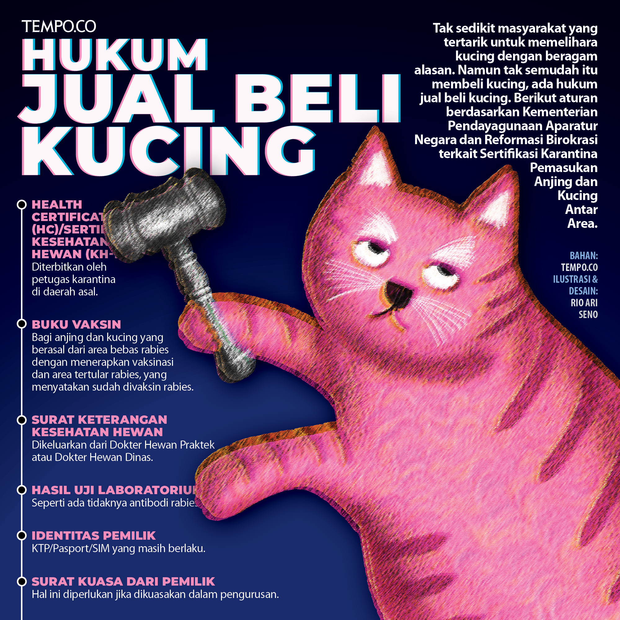 Anda Pecinta Kucing? Ketahui Aturan Dalam Jual Beli Hewan Lucu Tersebut ...