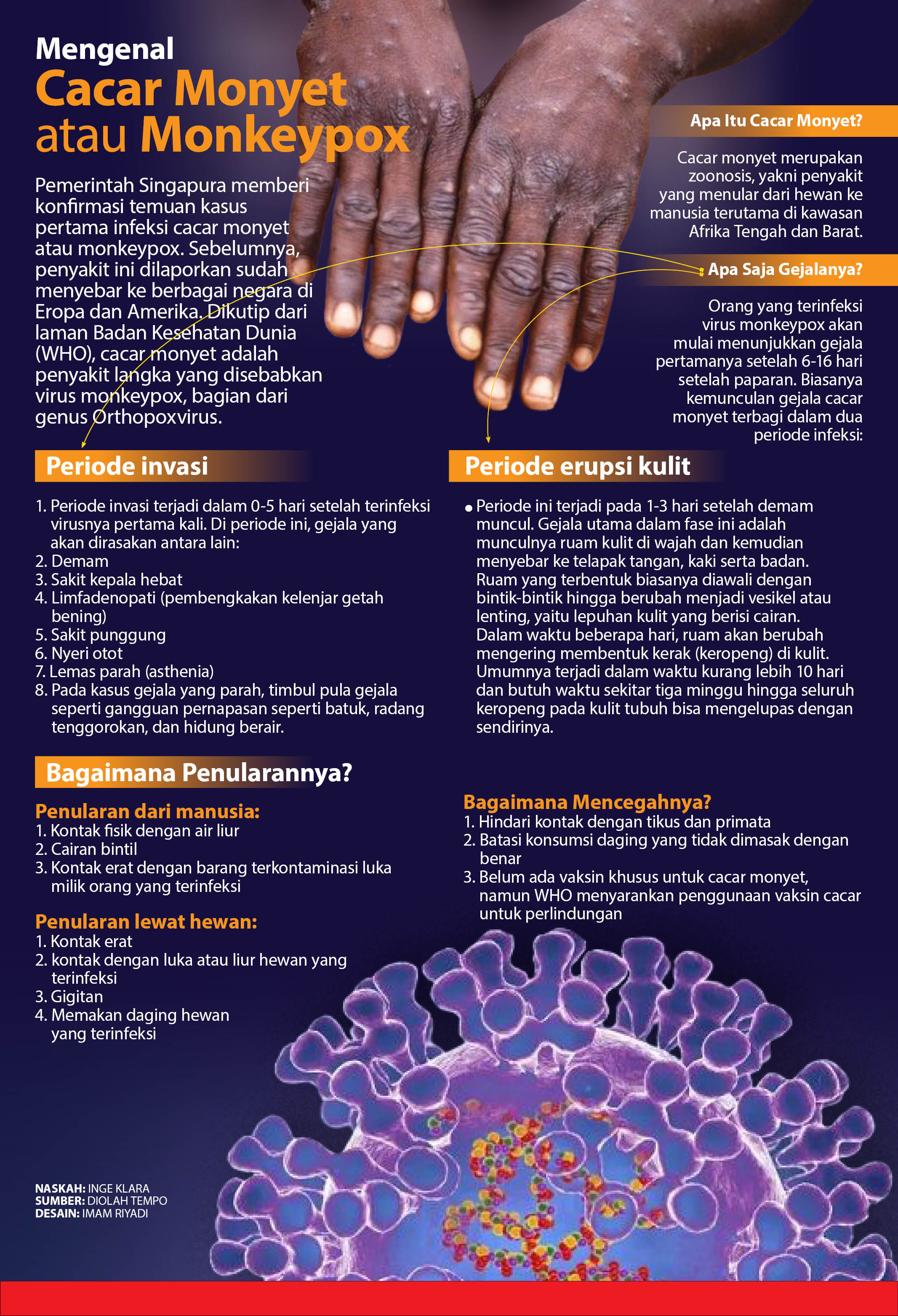 Mengenal Cacar Monyet atau Monkeypox, Ketahui Penyebaran dan Cara Pencegahannya | tempo.co