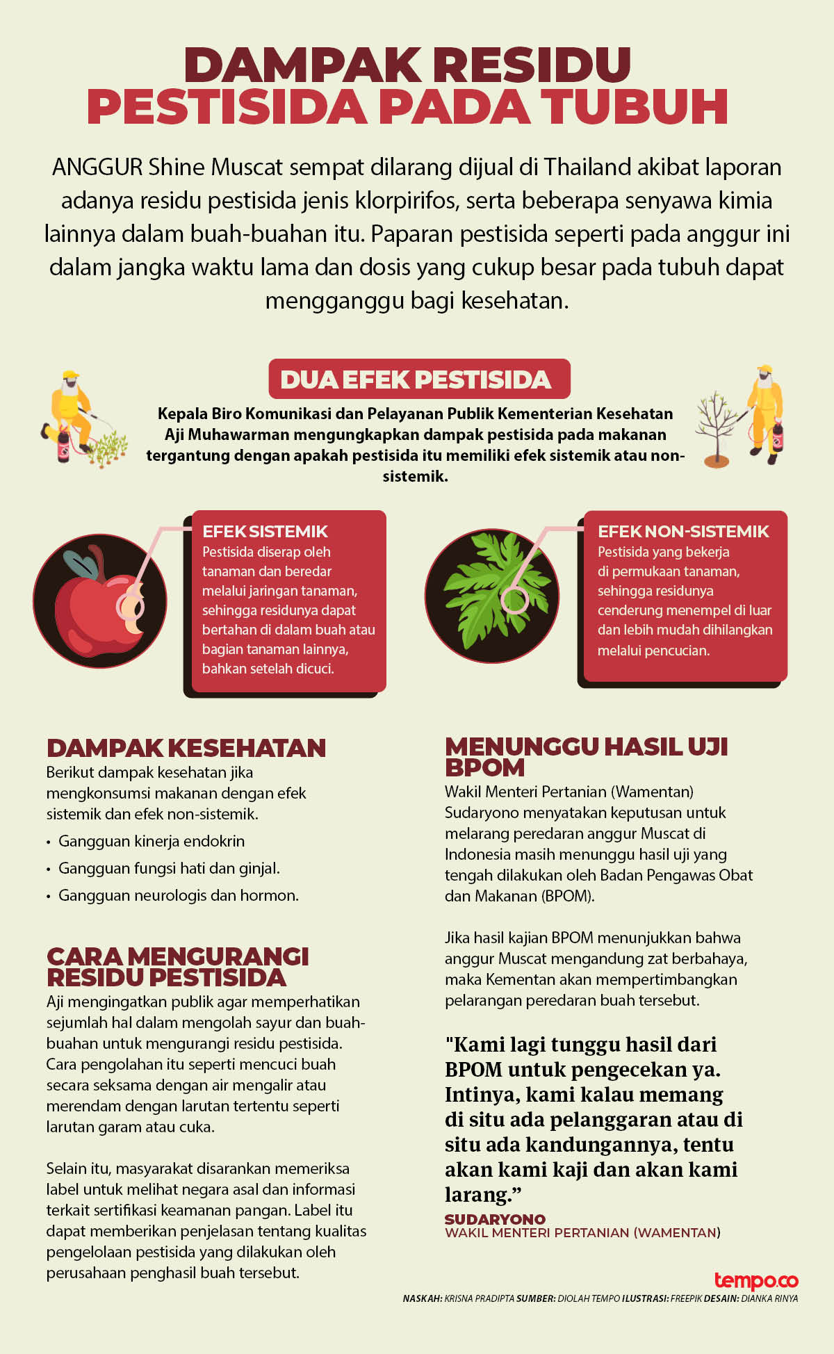Dampak Residu Pestisida pada Tubuh | tempo.co